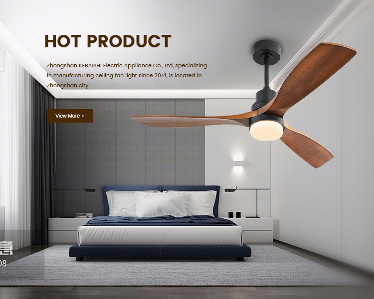ceiling fan, ceiling fan with light, ceiling fan light Manufacturer ...